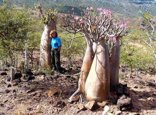 An exploratory tour for those who love Flora and Fauna